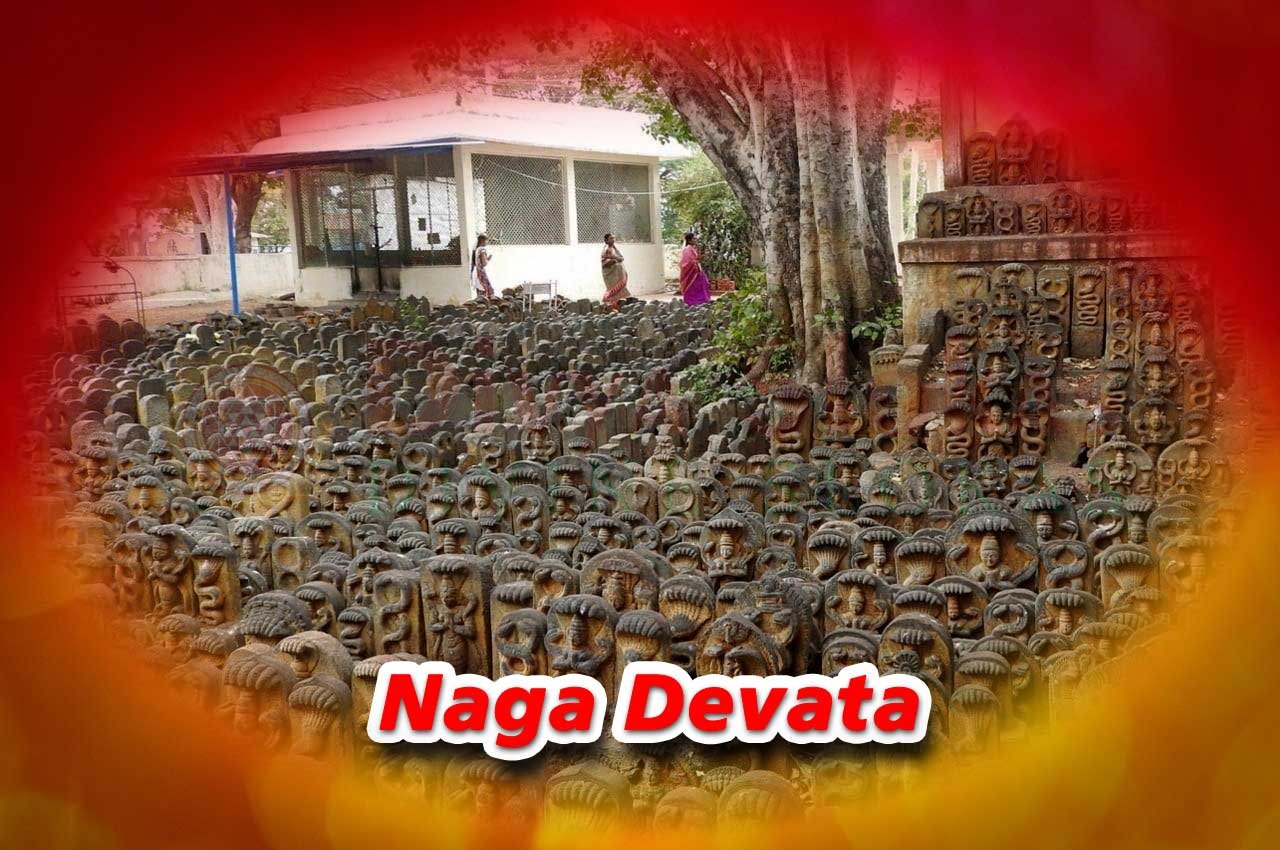 108 Names of Sri Naga Devata in Hindi - Divya Sokas